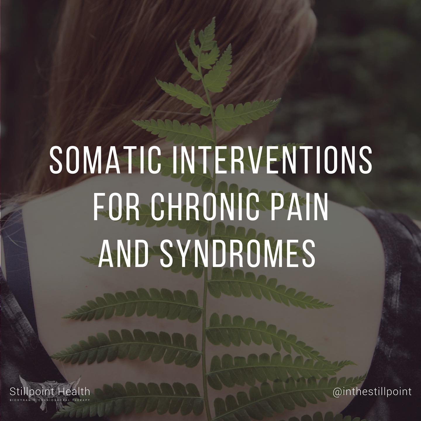 Trauma and Nervous System Dysregulation - Stillpoint Health : Somatic ...