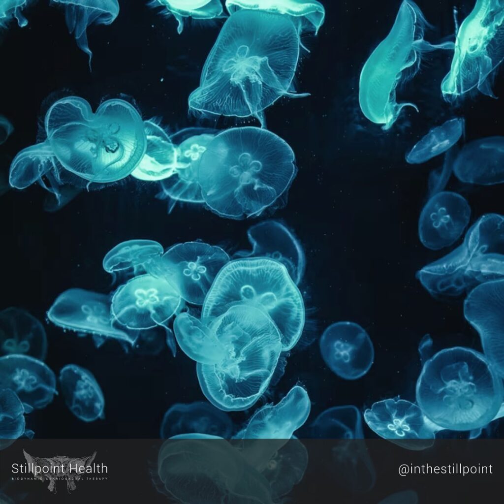 Working with Minimisation - Stillpoint Health : Somatic Psychotherapy